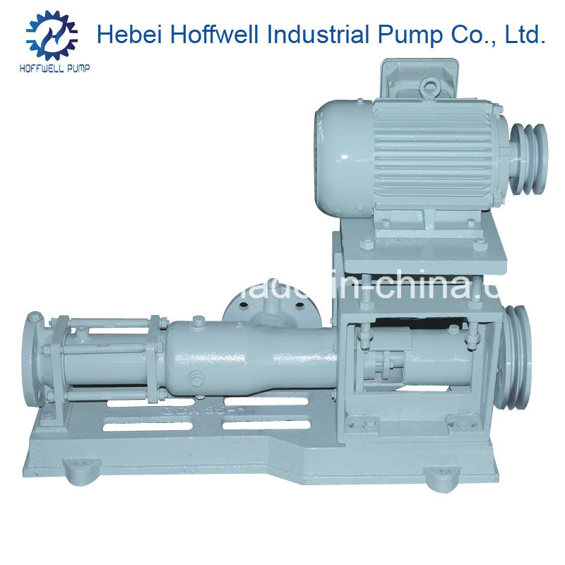 G Series Progressing Cavity Screw Pump from China manufacturer ...